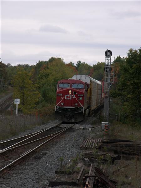 Walker Coe photo. South Parry, Ontario. September 27, 2008